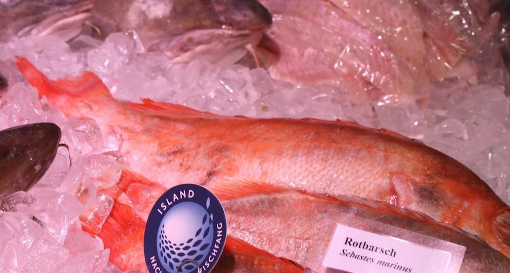 Golden redfish enjoyed by German consumers | News | World Fishing