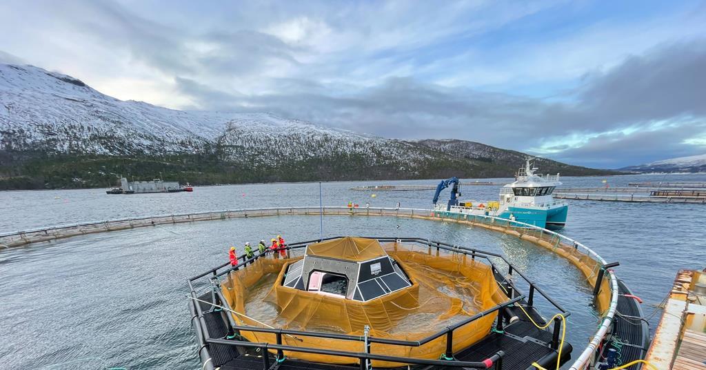 High hopes as iFarm Version 3 gets underway | News | World Fishing