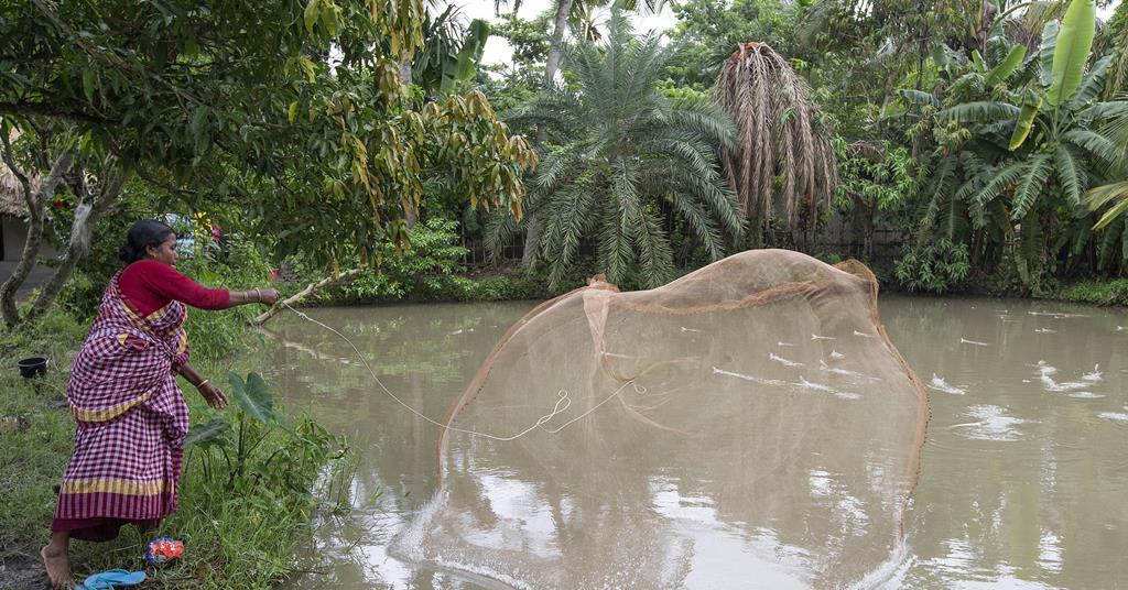 Supporting small-scale fish farmers | News | World Fishing