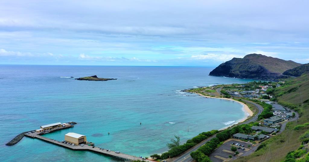 Hawaii seaweed restoration | News | World Fishing