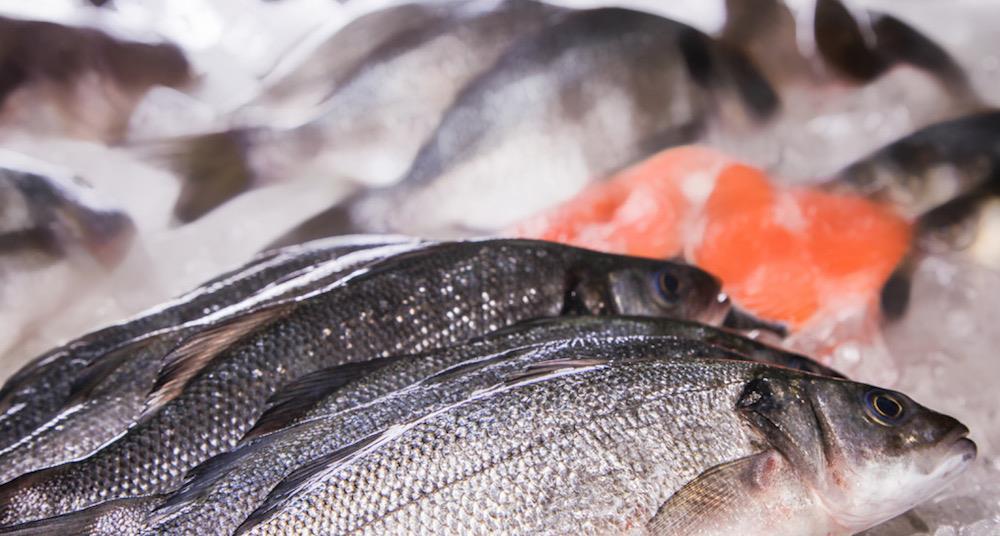 UK supermarkets selling farmed fish linked to overfishing and social ...