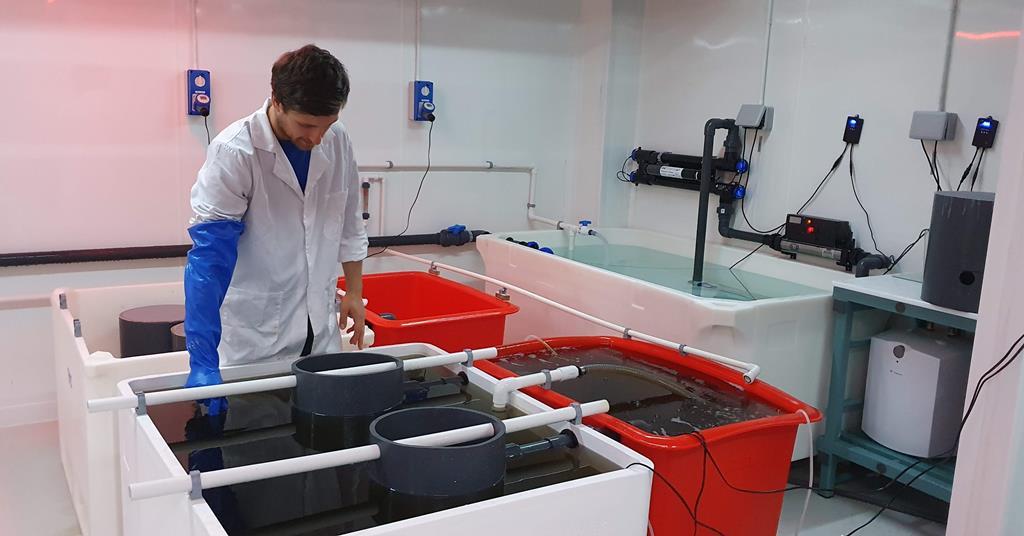 Orkney hatchery wins Scottish educational grant | News | World Fishing