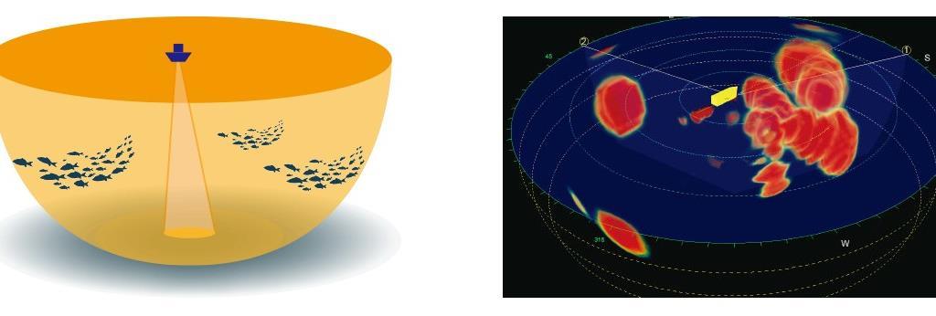 3D Sonar Visualizer™ Model F3D-S | Sponsored | World Fishing