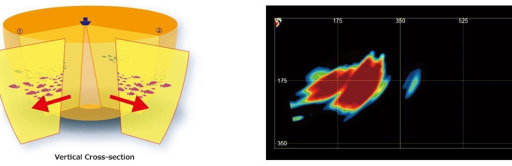 3D Sonar Visualizer™ Model F3D-S | Sponsored | World Fishing