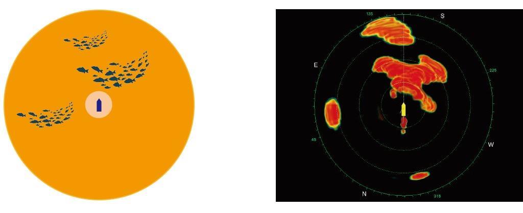 3D Sonar Visualizer™ Model F3D-S | Sponsored | World Fishing