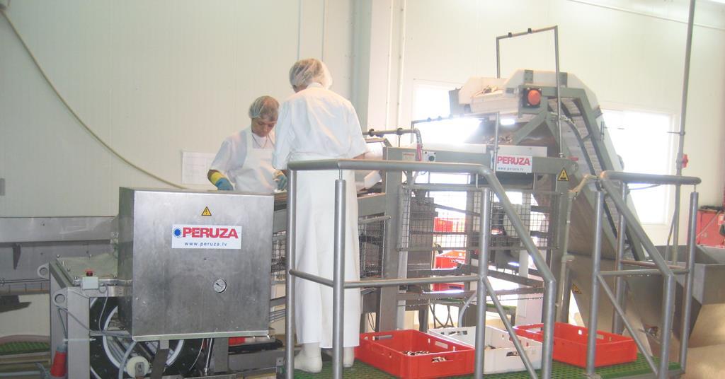 PERUZA’s small fish nobbing line enters industry | News | World Fishing