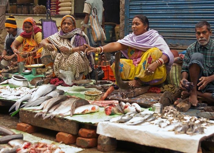 Reimagining fish | News | World Fishing