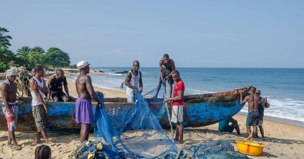 Liberia $20m fisheries deal | News | World Fishing