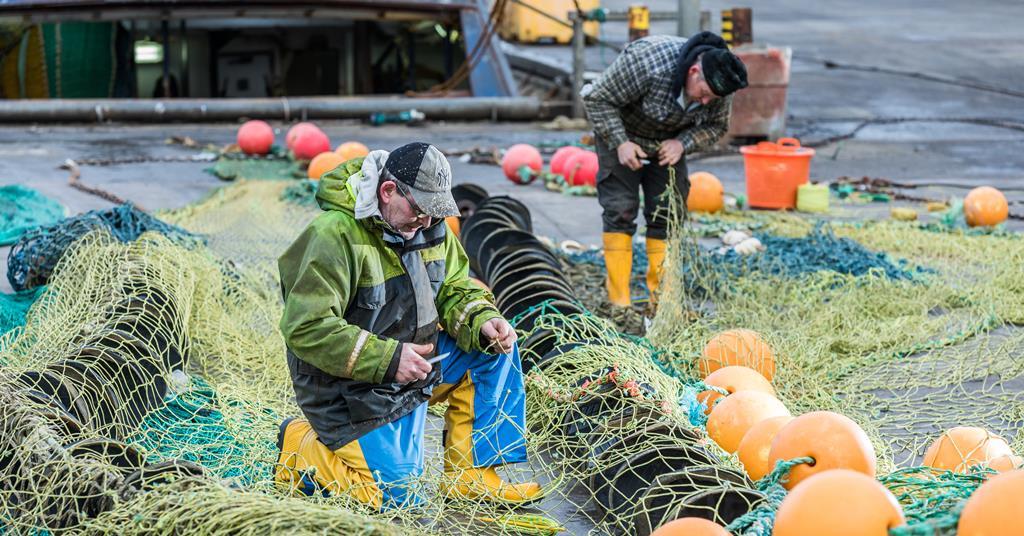 Seafish: Challenges continued for UK fishing fleet in 2022 | News ...