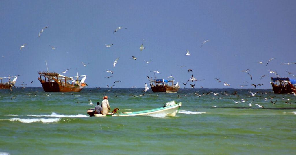 Construction tenders for one of Oman’s largest harbours | News | World ...