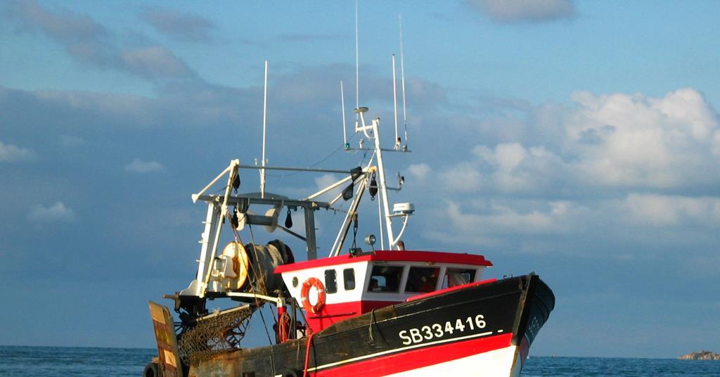 New Sustainable Seafood Coalition formed | News | World Fishing
