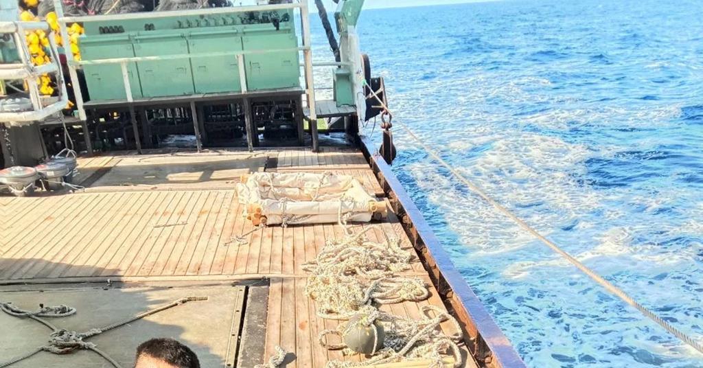 Jelly FADs present a sustainable solution | News | World Fishing