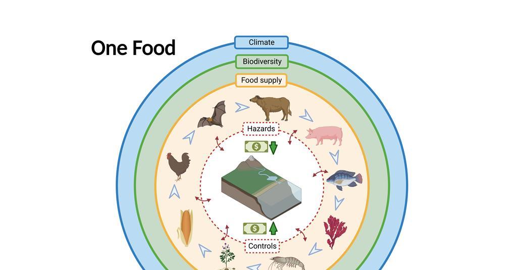 New initiatives tackle food sustainability challenges | News | World ...