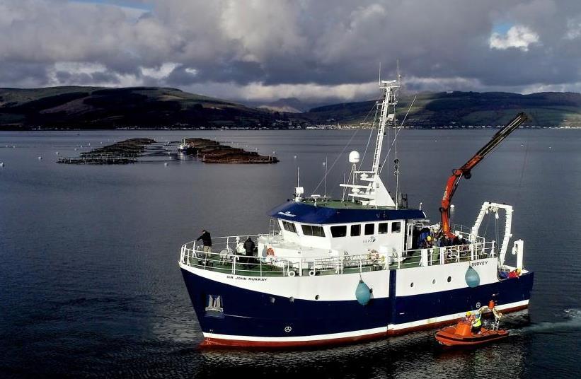 Wild salmon protection zones | News | World Fishing