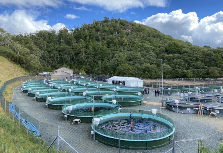 Salmon hatchery overhaul | News | World Fishing