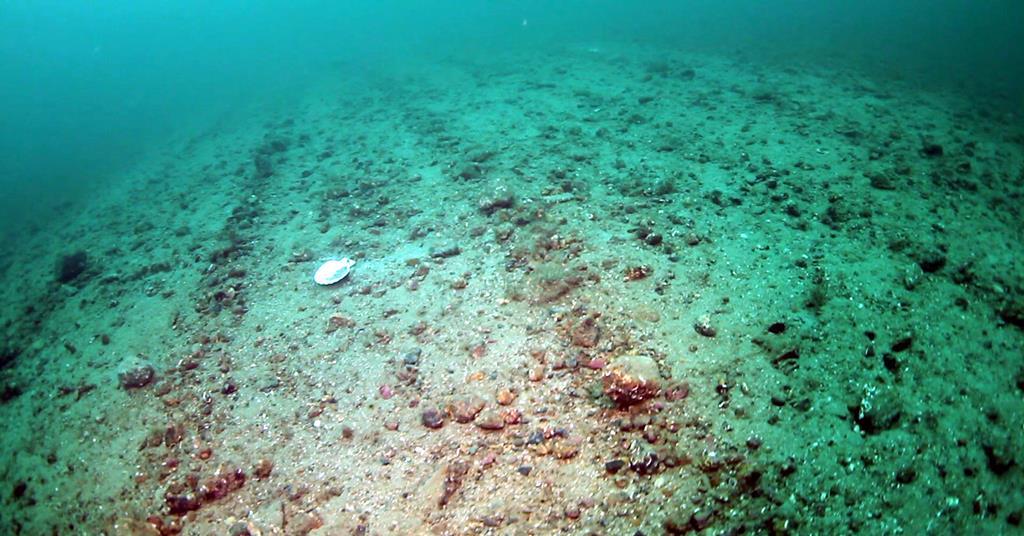 UK public urges bottom trawling ban | News | World Fishing
