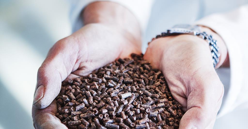 Sustainable fish feed alternative unveiled | News | World Fishing