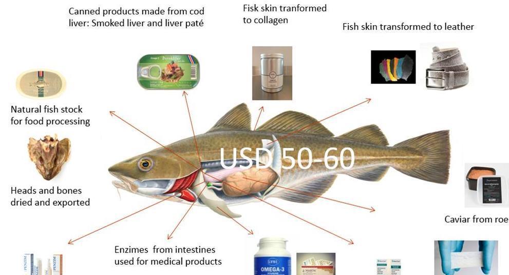 Fish Waste for Profit | News | World Fishing