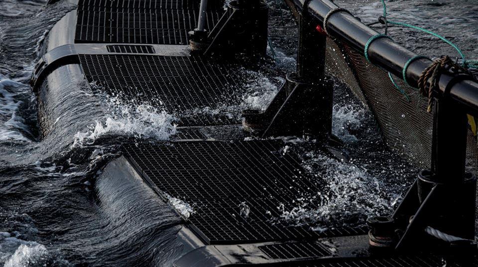 Increasing recycling in aquaculture explored | News | World Fishing