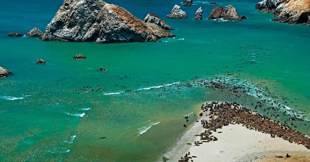 Peru anchovy fleet poses little risk to biodiversity, study says | News ...