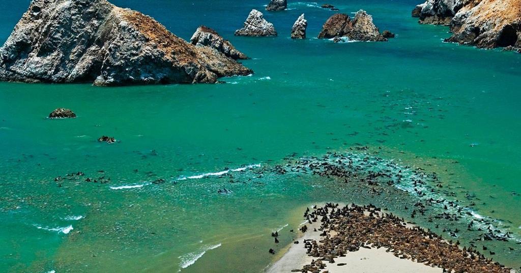 Peru anchovy fleet poses little risk to biodiversity, study says | News ...