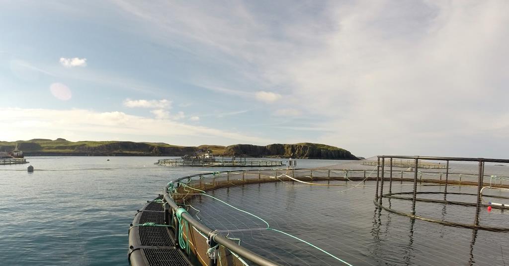 Salmon farm pens performing well | News | World Fishing