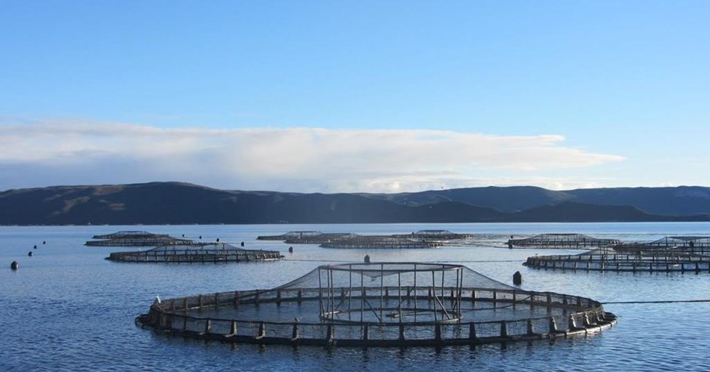 All Tassal salmon farming operations ASC certified | News | World Fishing