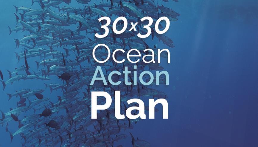 UNOC3: 30x30 Ocean Action Plan launched to accelerate ocean protection ...