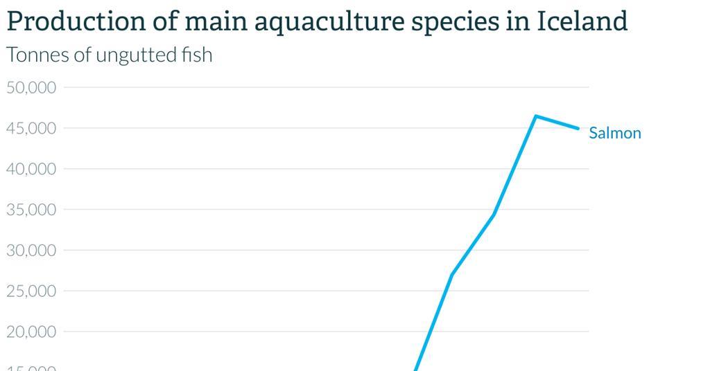Icelandic aquaculture export earnings climb | News | World Fishing