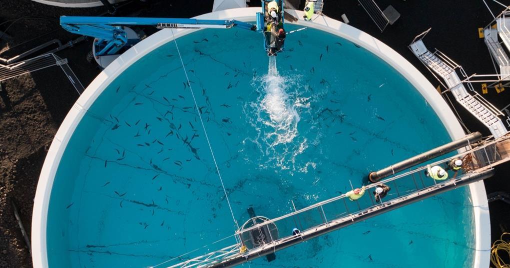 Iceland’s First Water secures €39m in share increase | News | World Fishing