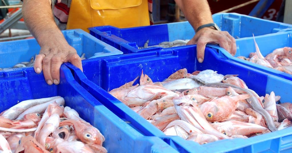 UK sustainability boost | News | World Fishing