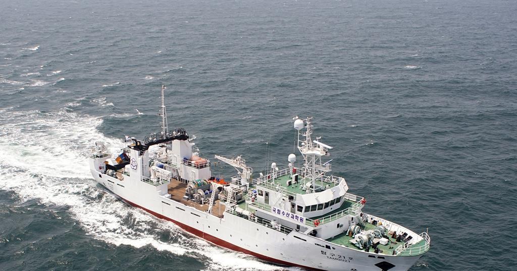 Schottel propellers for fisheries research vessel | News | World Fishing