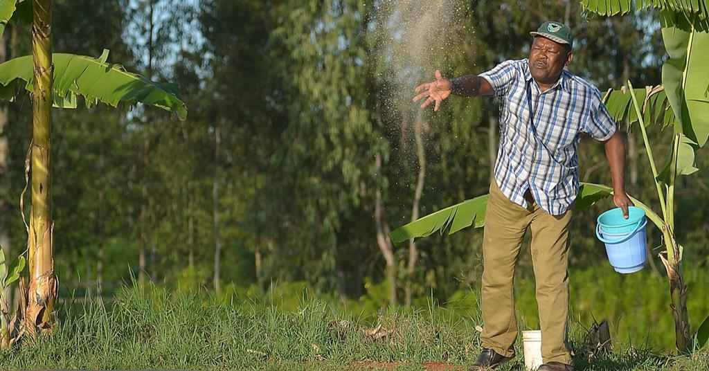 How to ensure a sustainable future for aquaculture | News | World Fishing