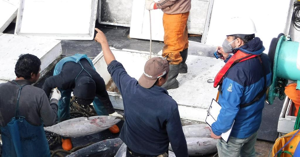 TU improves fisher welfare | News | World Fishing