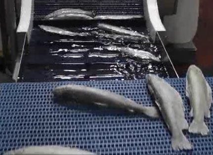 Advanced’s all-in-one concept | News | World Fishing