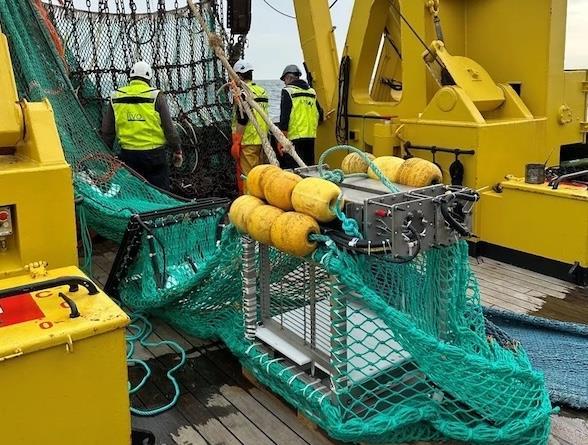 Ready to revolutionise beam trawling with AI | News | World Fishing