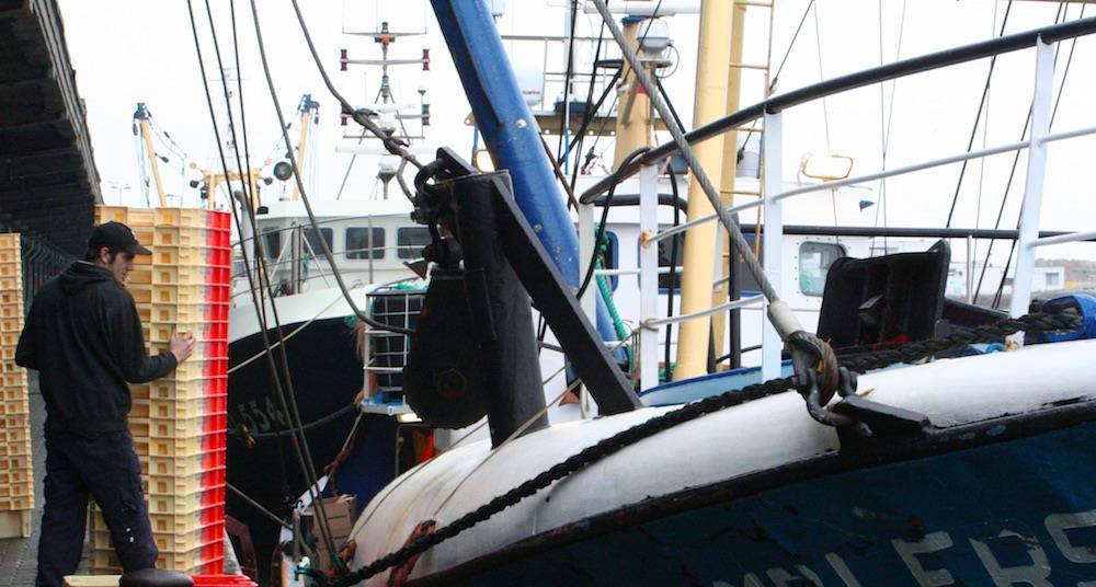 Call for wide ratification of ILO C188 | News | World Fishing