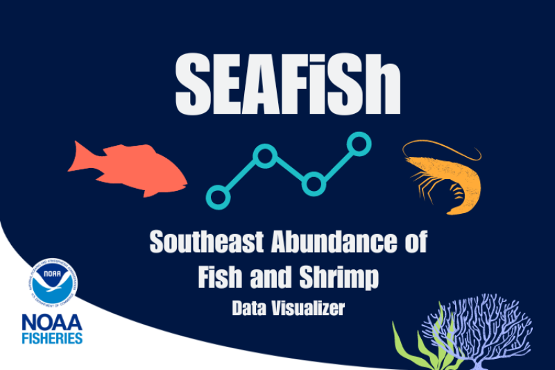 US fish and shrimp data on demand | News | World Fishing