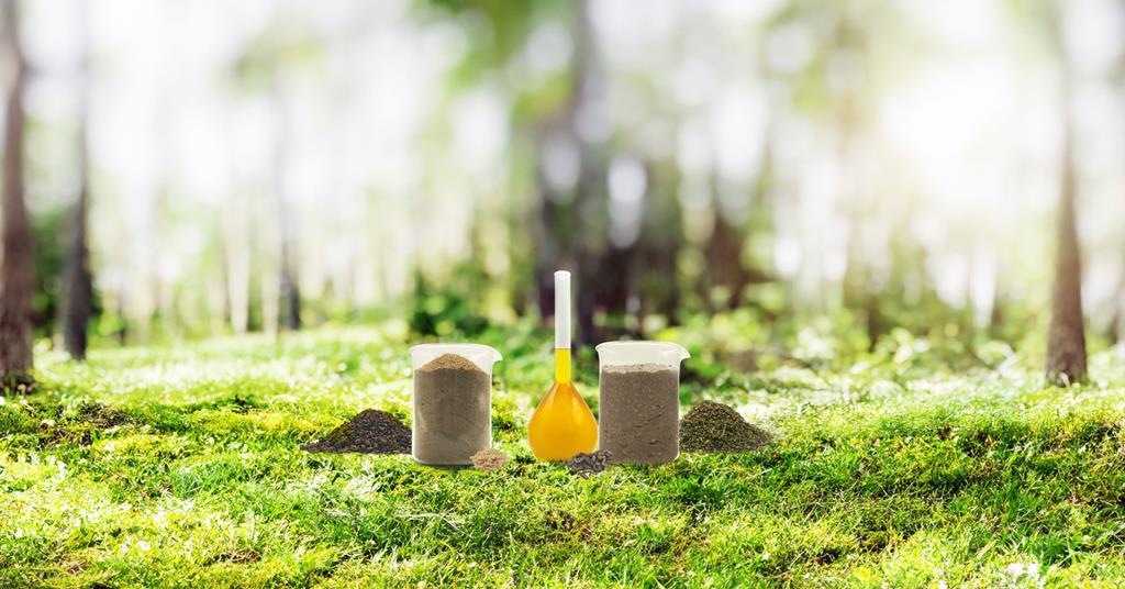 Time for EU action: Broaden waste streams for insect farming to lead ...