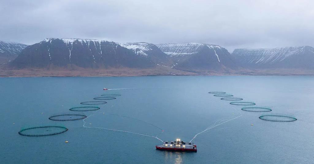 Arctic Fish deal done | News | World Fishing