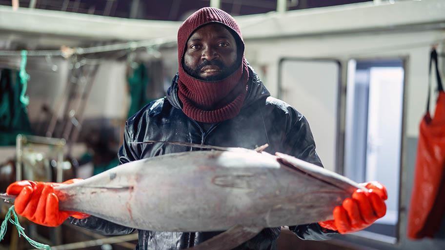 A first for newly-certified South African tuna fishery | News | World ...