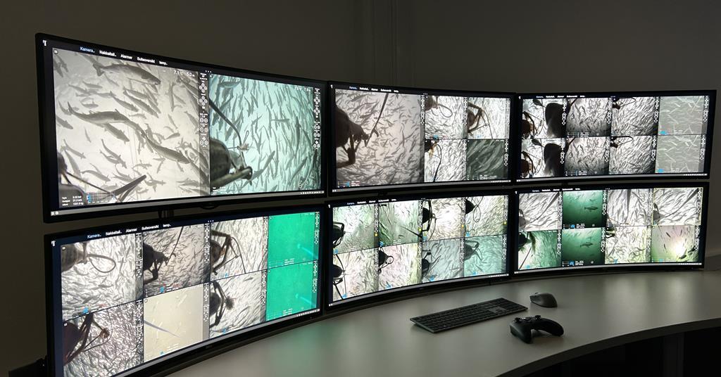 Bluefront Equity snaps up Piscada’s aquaculture business | News | World ...