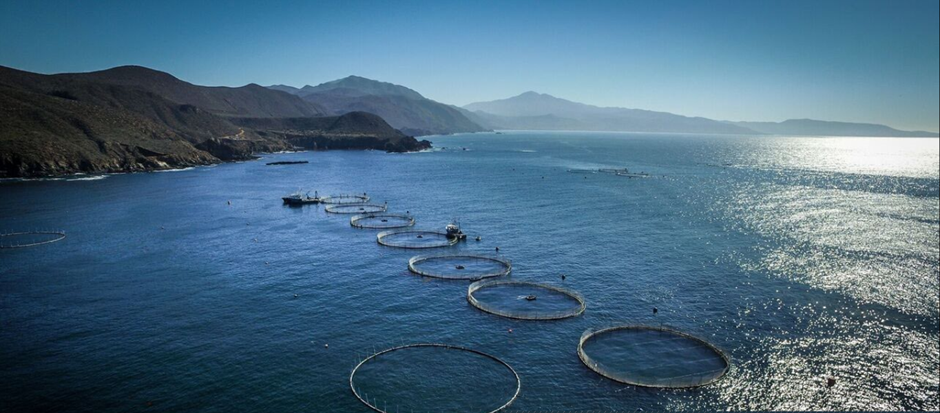 Offshore Mariculture Conference programme | News | World Fishing