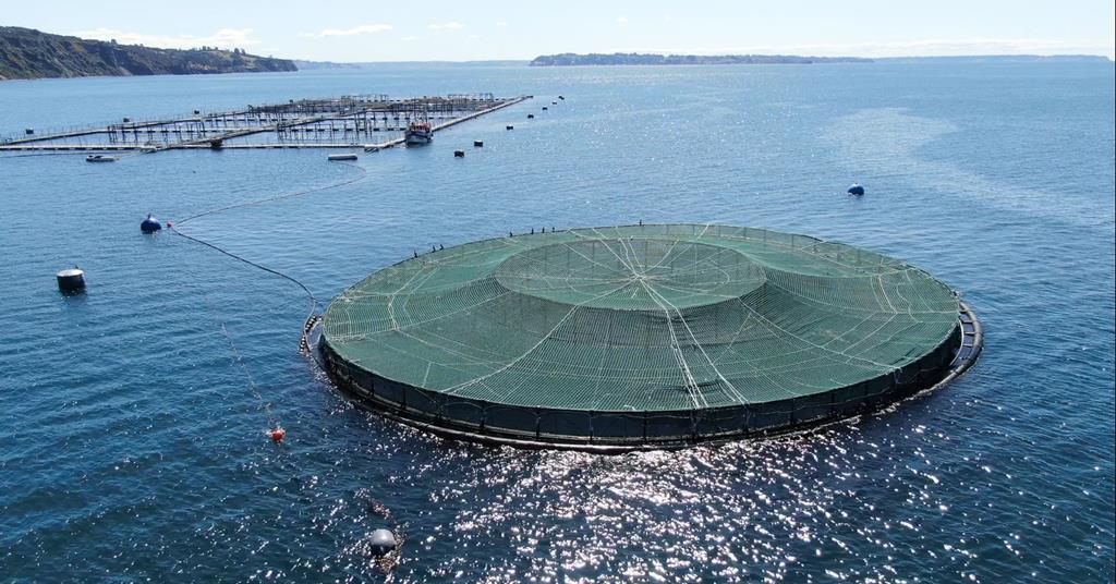 EcoSea technology used in Chilean offshore aquaculture prototype | News ...