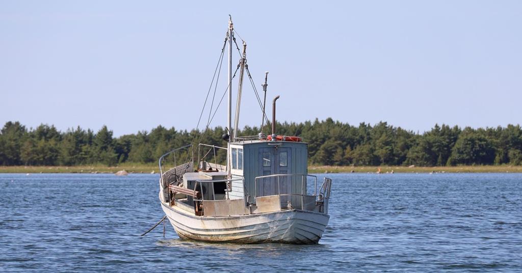 Agreement reached on Baltic Sea fishing opportunities for 2024 | News ...