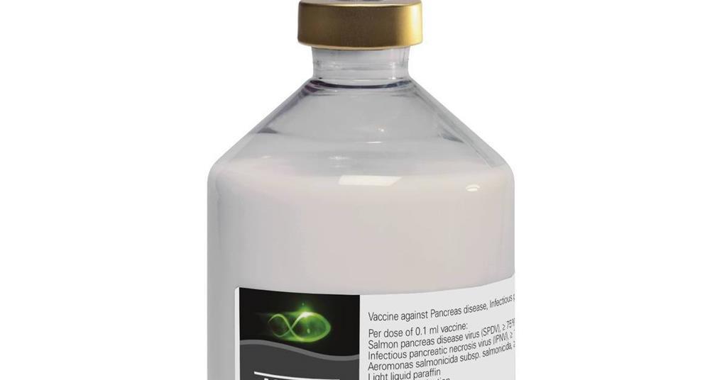 Salmon vaccine launched in UK and Ireland | News | World Fishing