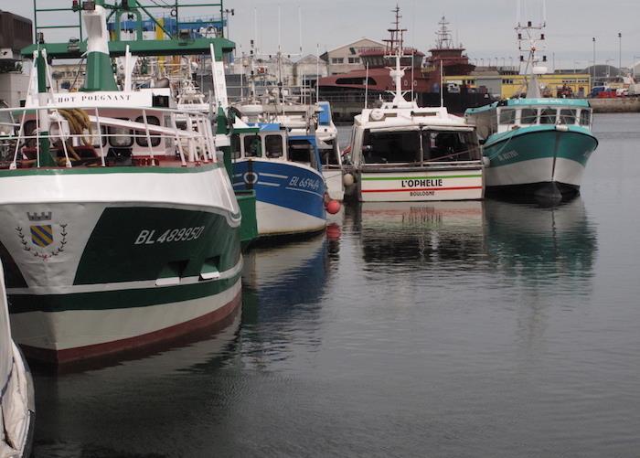 2022 CFP Review: Fisheries at a crossroads? | News | World Fishing