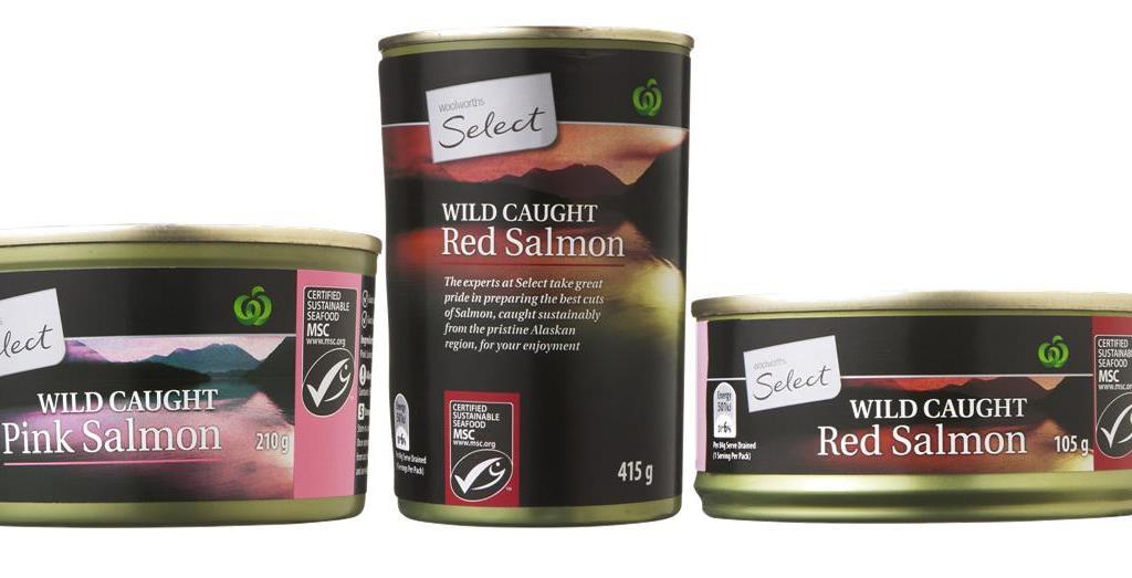 Growing interest in chain of custody programme | News | World Fishing