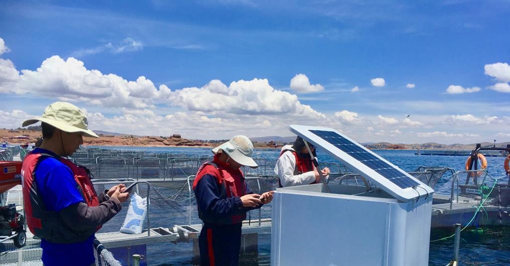 AI – 'a paradigm shift’ for aquaculture | News | World Fishing