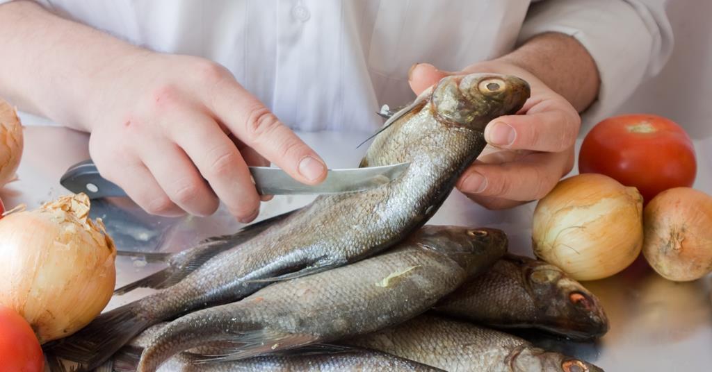 Slipping through the net | News | World Fishing